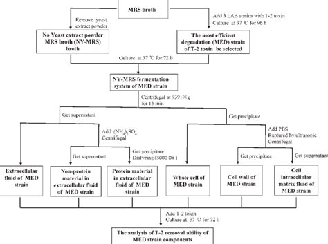 Component Extraction Process Of The Most Efficient Degradation Med