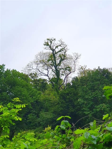 연용 “문왕의 동산은 사방이 70리였지만 나무를 베는 나무꾼도 들어갔고 꿩과 토끼를 잡는 사냥꾼도 들어갔으니 백성과 함께하신 겁니다 그런데 제선왕은 엄하게 금지하는