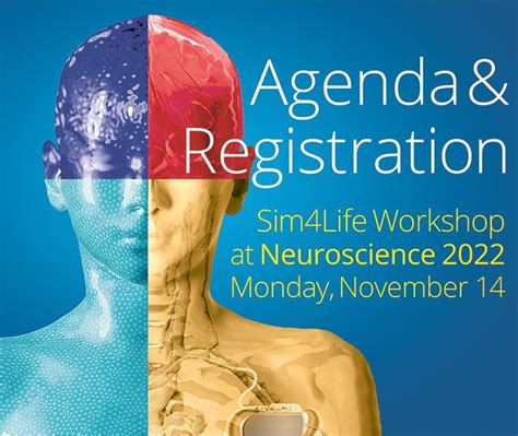 Michael Oberle On Linkedin Insilico Neuroscience Neuromodulation