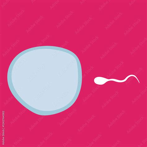 Insemination And Fertalization Concept Female And Male Egg Cell Icon