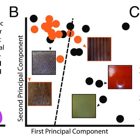 latent space representation of the autoencoder a centers of