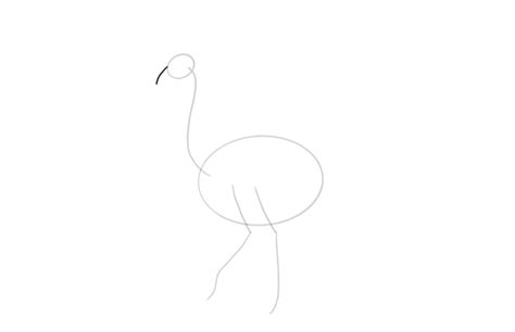 How To Draw A Peacock Envato Tuts