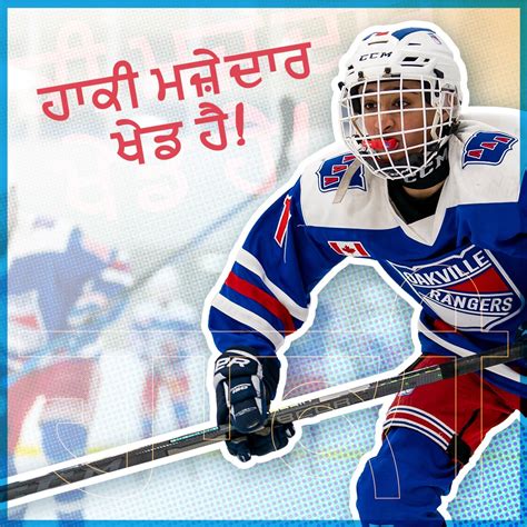 Omha Expands Campaign To Draw New Players To Sport Barrie News