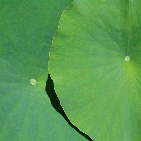 Christa Jaeger Fotografie Zoomin Gallerie