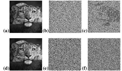 simulation results of image encryption and decryption a original