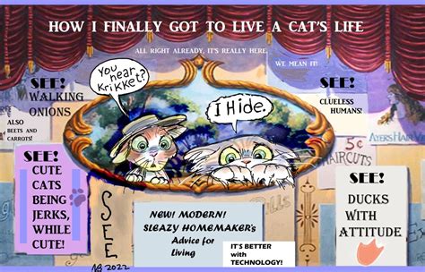 Nancy Beimans ‘how I Finally Got To Live A Cats Life A Cartoon Diary 2020 2021 On Sale Now