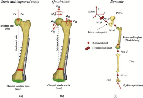 Models Used In The Four Methods Of Load Modelling Static And Download Scientific Diagram