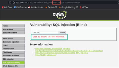 Blind Sql Injection An Experts Guide To Detect And Exploit