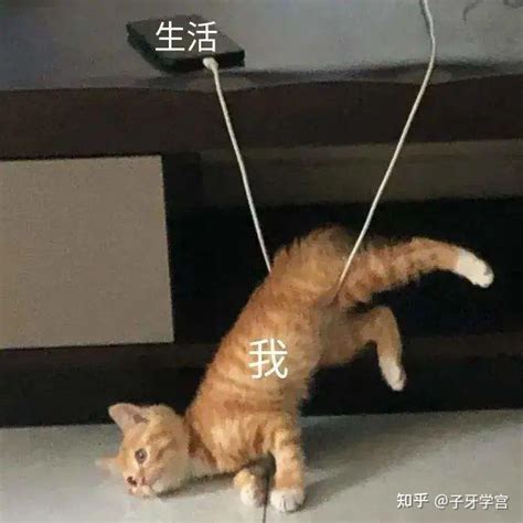 躺又躺不平卷又卷不赢这波道德经赢麻了 知乎