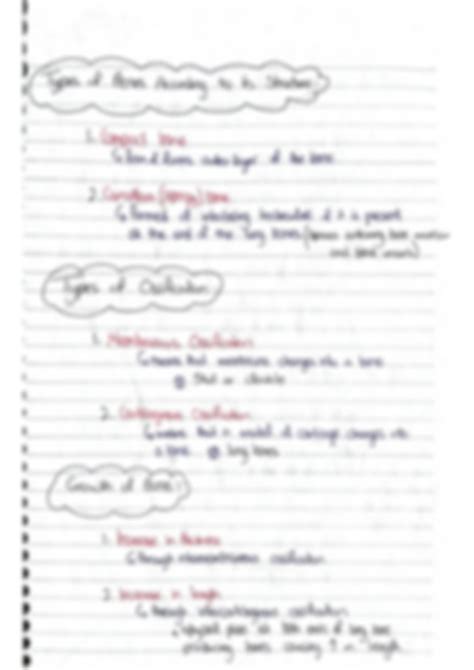 SOLUTION Lecture 3 Skeletal System Studypool