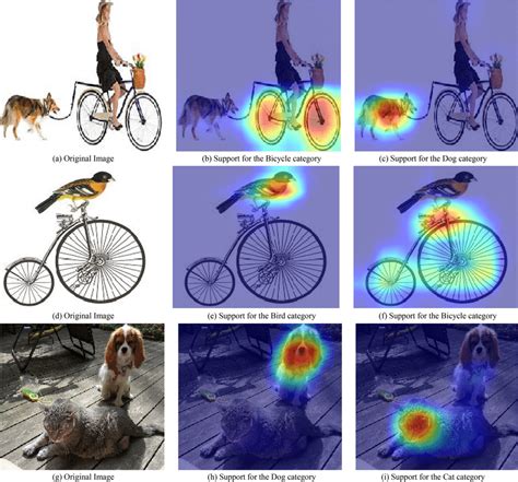 Eigen Cam Visualizations Computed For Three Sample Images A D G Download Scientific Diagram