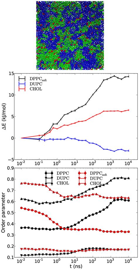 Snapshot Interaction Energy Gains And Order Parameters Of Download Scientific Diagram