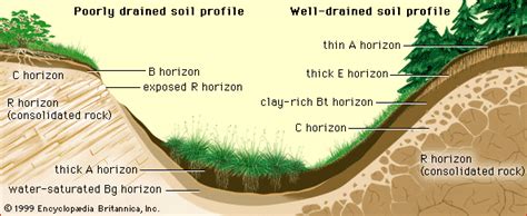 Type C Soil Is The Least Stable Soil