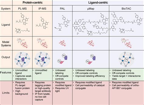 Comparison Of Examples Of Current Target Id And Interactome Id Methods Download Scientific