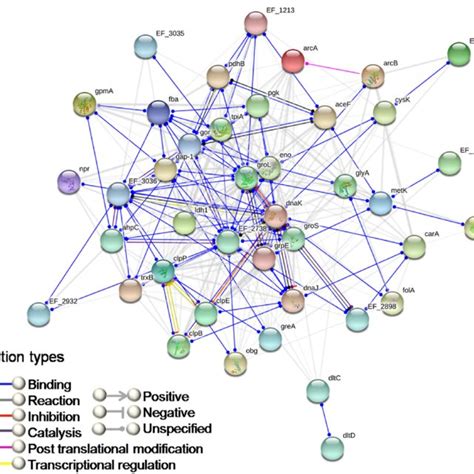 Abbreviations David Database For Annotation Visualization And