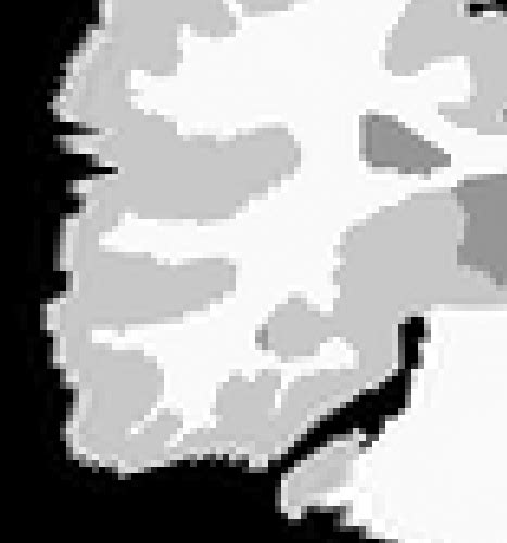 Using Sitktransformix To Drive Label Image Distortion Will Cause