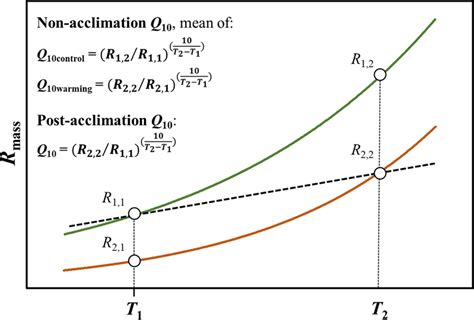 Schematic Of The Thermal Acclimation Of Microbial Respiration Rates To Download Scientific