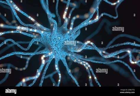 Motor Neuron Cell Hi Res Stock Photography And Images Alamy