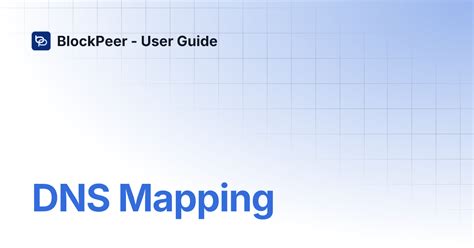 Dns Mapping Blockpeer User Guide