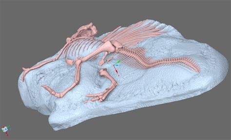 🪨 Spinosaurus Fossil Rock 3d Skeleton Of Spinosaurus Dinosaur・ Stl
