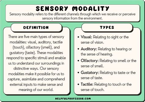 sensory modality 10 examples and definition 2025