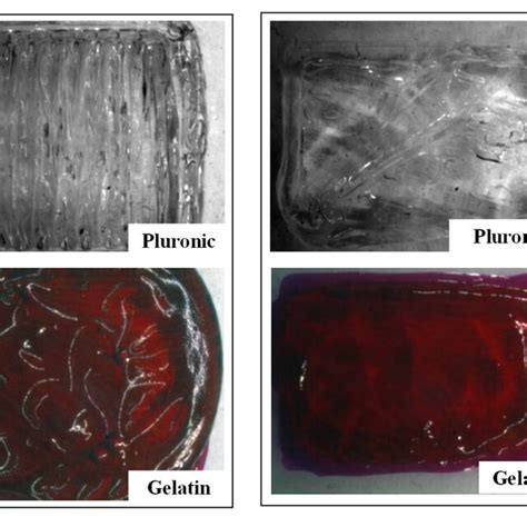 Gross Morphology Of Lattice And Rectangular Sheet Structures Printed Download Scientific
