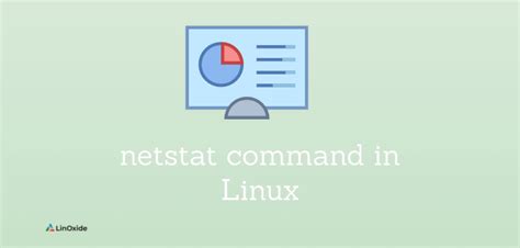 El Comando Netstat En Linux 9 Ejemplos útiles