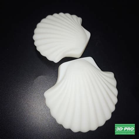 3d프린팅으로 조개 모양 출력물제작 3d 프린터 시제품 출력 대학생 졸업작품 Sla 레이저 방식 Abs Like 레진 소재 쓰리디프로 3d프로 3dpro 네이버 블로그