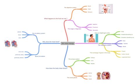 We Need Energy Image Image Image Coggle Diagram