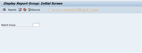 GR SAP Tcode Display Report Group