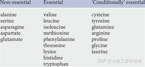 氨基酸—蛋白质的基本单位 知乎