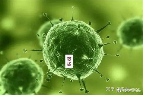 唾液酸燕窝酸燕窝的独门健康武器 知乎