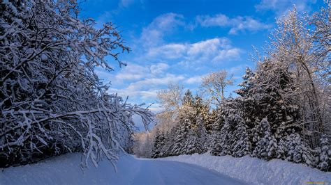 Обои Природа Зима обои для рабочего стола фотографии природа зима снег лес Обои для