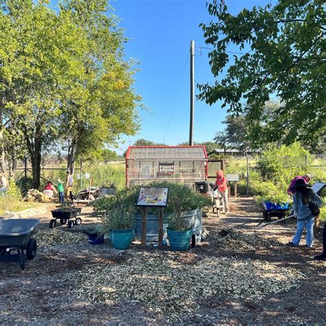 Structured Self Development Program Bridging Operational