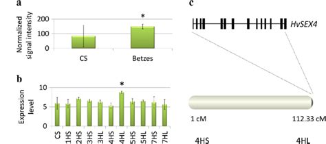 Chromosomally Mapped Barley SEX4 A Comparison Of Signal Intensity Download Scientific Diagram