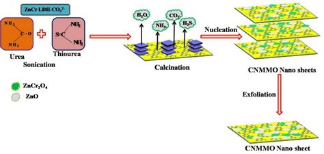 Scheme Captions Scheme 1 Schematic Representation Of In Situ Formation Download Scientific