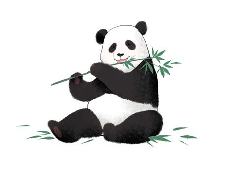 黑竹子素材 黑竹子图片 黑竹子素材图片下载 觅知网