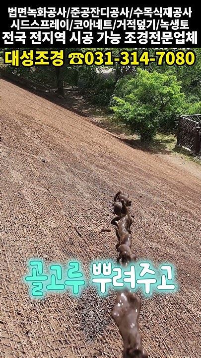 유기질 거름 씨앗 파종 거름 씨앗 뿌리기 거름 잔디 공사 전국 법면녹화공사 전문업체 대성조경 Youtube