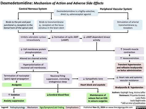 Hypertension Calgary Guide