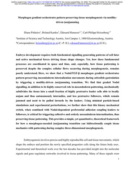 Pdf Morphogen Gradient Orchestrates Pattern Preserving Tissue Morphogenesis Via Motility