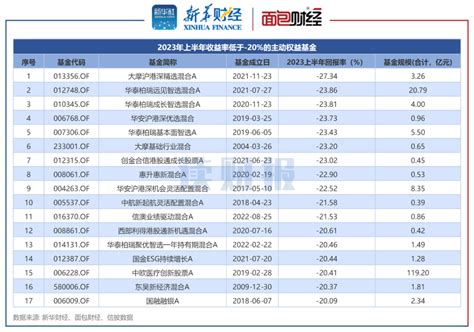 【读财报】主动权益基金半年考：超四成实现正收益百科ta说