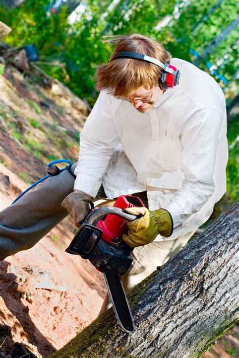 Man Cutting Down A Tree Stock Image Image Of Lumber 11084917
