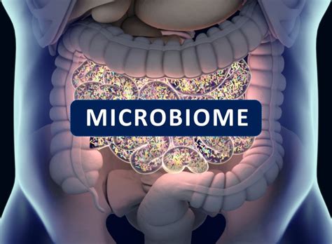 Your Gut Bacteria May Be Affecting Your Mood Daily Health Alerts