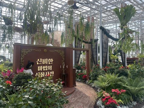 설 연휴는 산림휴양복지시설서 가족과 함께…프로그램 다채 나무뉴스