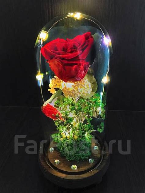 Роза в колбе с подсветкой Стабилизированные цветы Цветы украшения праздничное оформление во