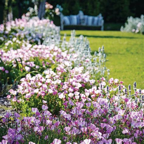 How To Use Nematodes The Natural Pest Control Explained Ideal Home