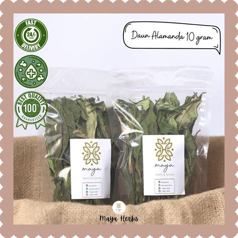 Jual Daun Alamanda Kering 10 Gram Allamanda Cathartica Shopee