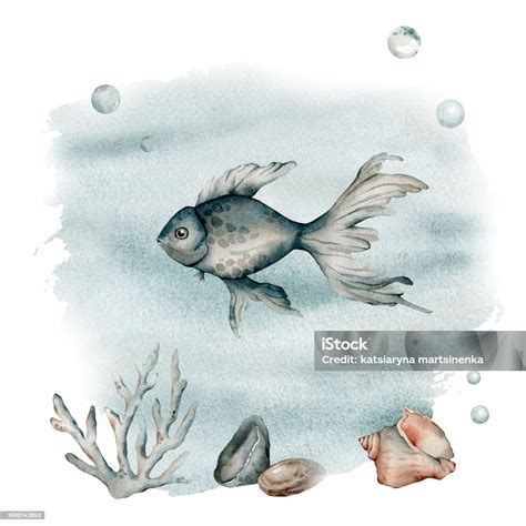 수채화 바다 생물 물고기 조개 돌 해초 산호가 있는 아름다운 수중 구성 그림 갈색에 대한 스톡 벡터 아트 및 기타 이미지