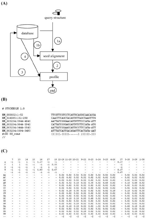 Multiple Structure Alignment And Iterative Database Search A Download Scientific Diagram