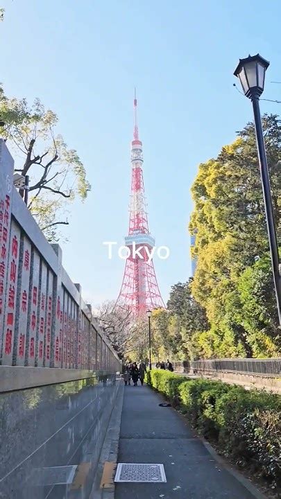 날이 너무 좋았던 도쿄여행 도쿄타워 도쿄타워스팟 도쿄3박4일 도쿄타워뷰 도쿄타워시바공원 Shorts Youtube